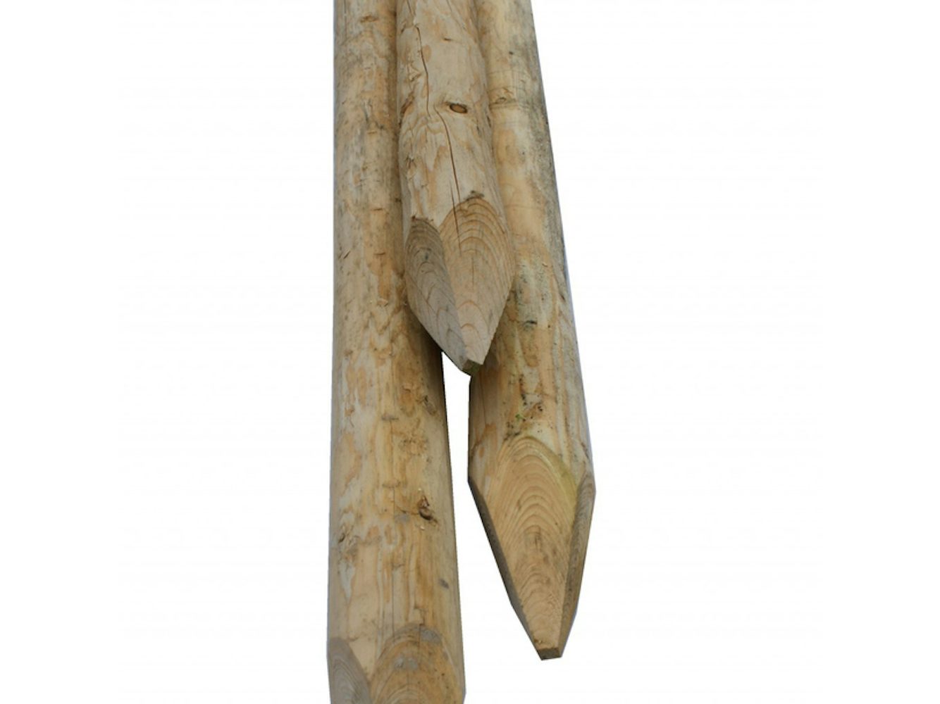 Perkoenpalen - beste prijs in Nederland bij NuBuiten