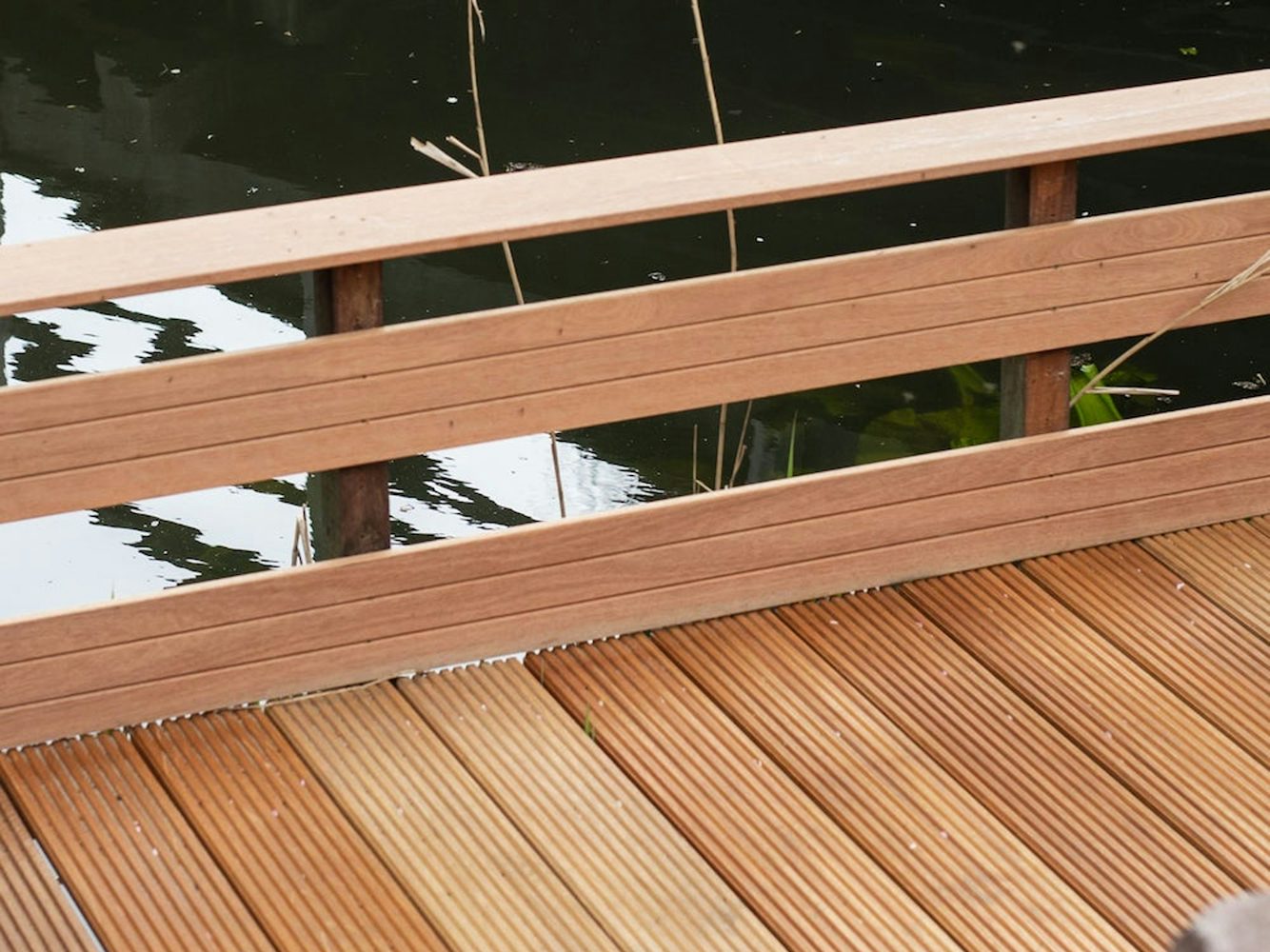 Welke soorten hardhout zijn er? NuBuiten